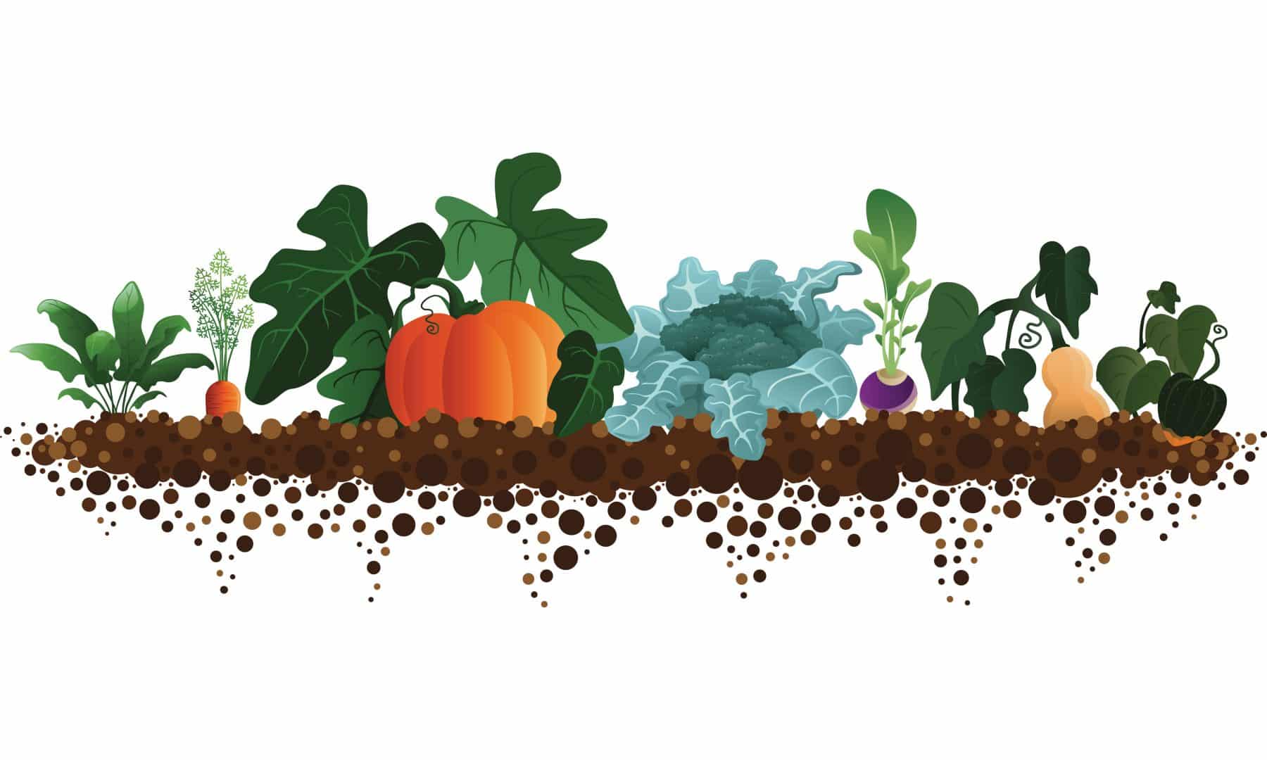 UNA | Fall Gardening Workshop - UNA