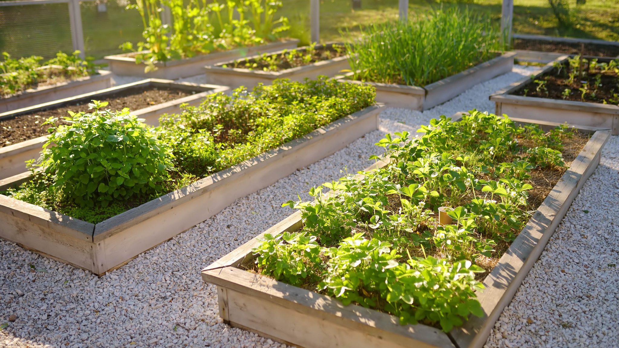 UNA | Earth Day - Children's Garden Exploration Workshop - UNA